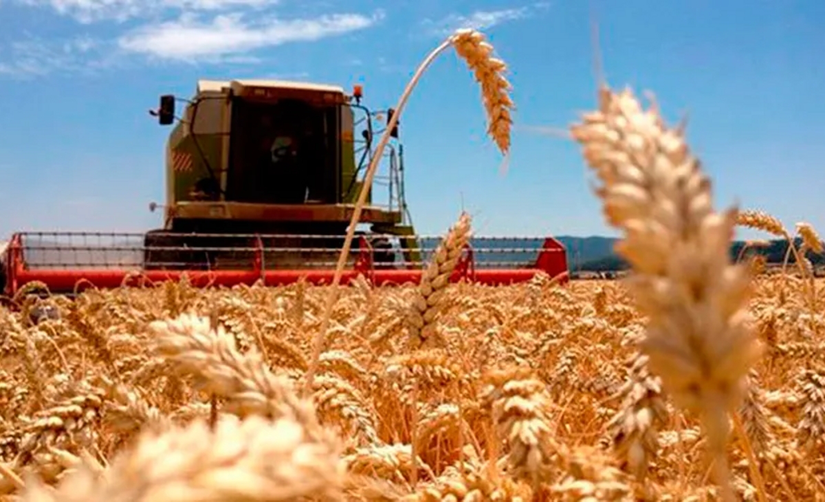 El Producto Bruto Geográfico de La Pampa cayó 0,8 % en 2025
