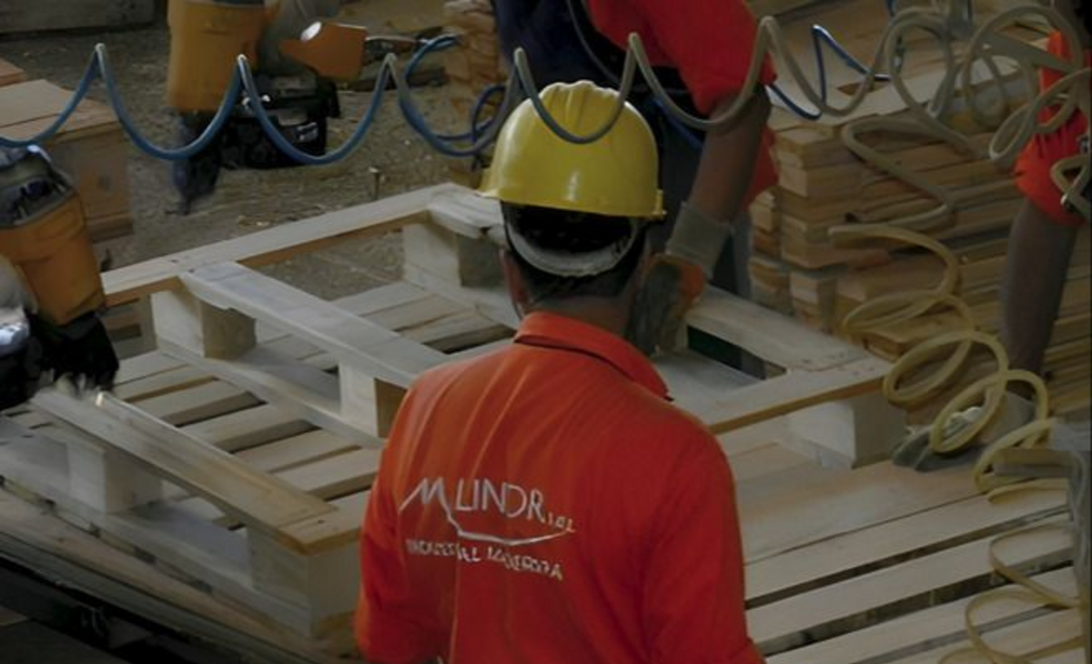 Quebró Linor, uno de los principales fabricantes de pallets: tenía 130 ...